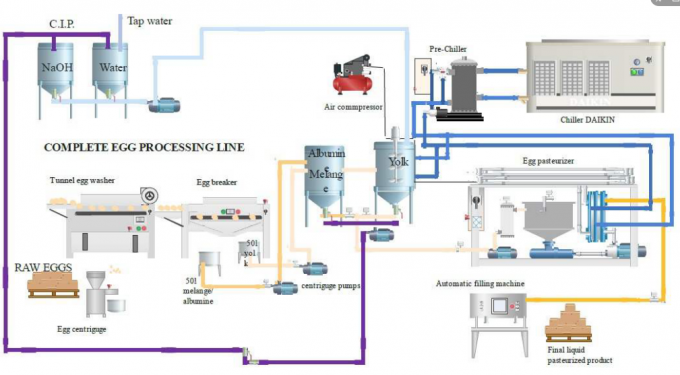 High Efficiency Pasteurized Liquid Egg Processing Line