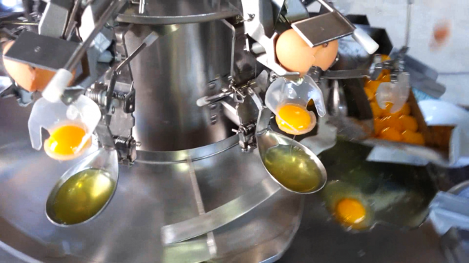 Electric Pasteurized Egg Liquid Making Machine Automatic